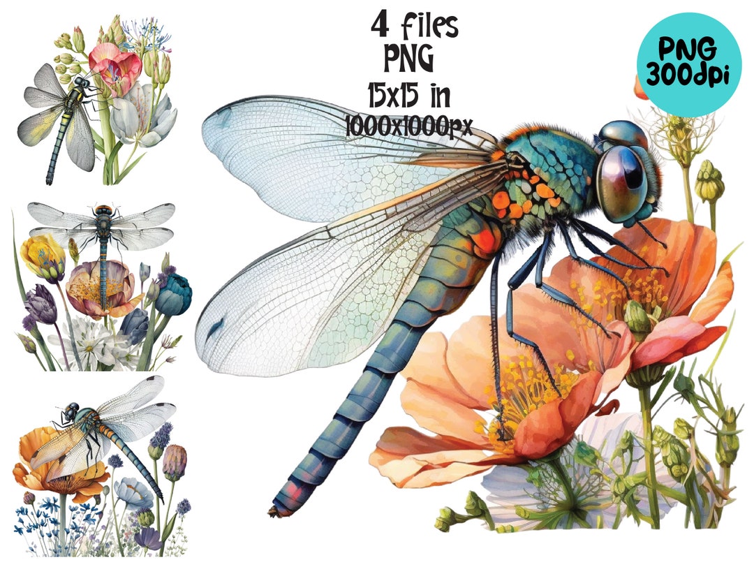 Libelle Clipart PNG Aquarell Blumen Sublimation - Etsy.de