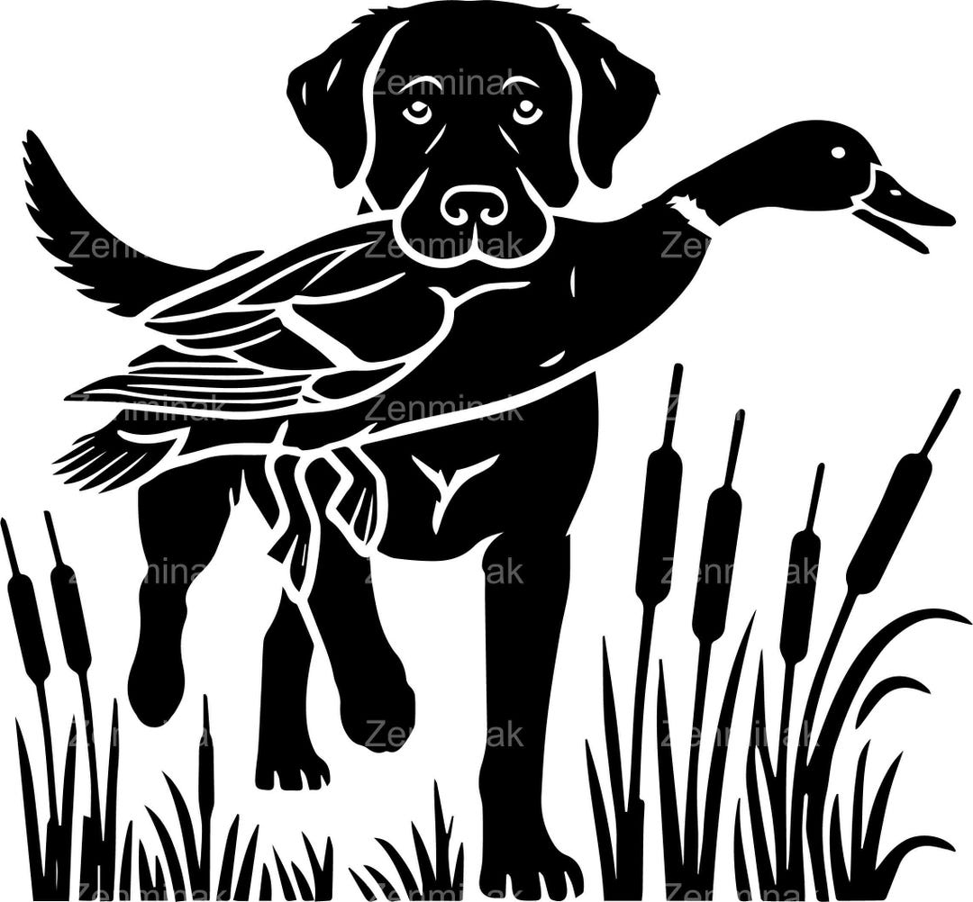 6 Labrador Retriever Duck Hunting SVG - Hunting Dog With Duck Scene ...
