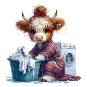 12 Cute Highland Cow PNG Clipart Doing Laundry in Plaid Robe With ...