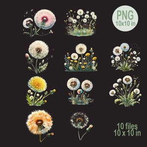 Dandelion PNG, Wildflower Clipart, Meadow Clipart, Spring Clipart ...