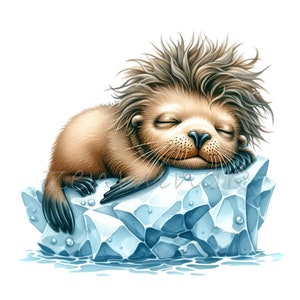 12 Cute Arctic Seal PNG Clipart Sleeping on Iceberg, Wet Flippers ...