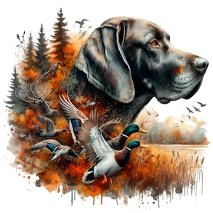 12 PNG Autumn Hunting Dog Clipart – PNG Black Labrador With Ducks ...
