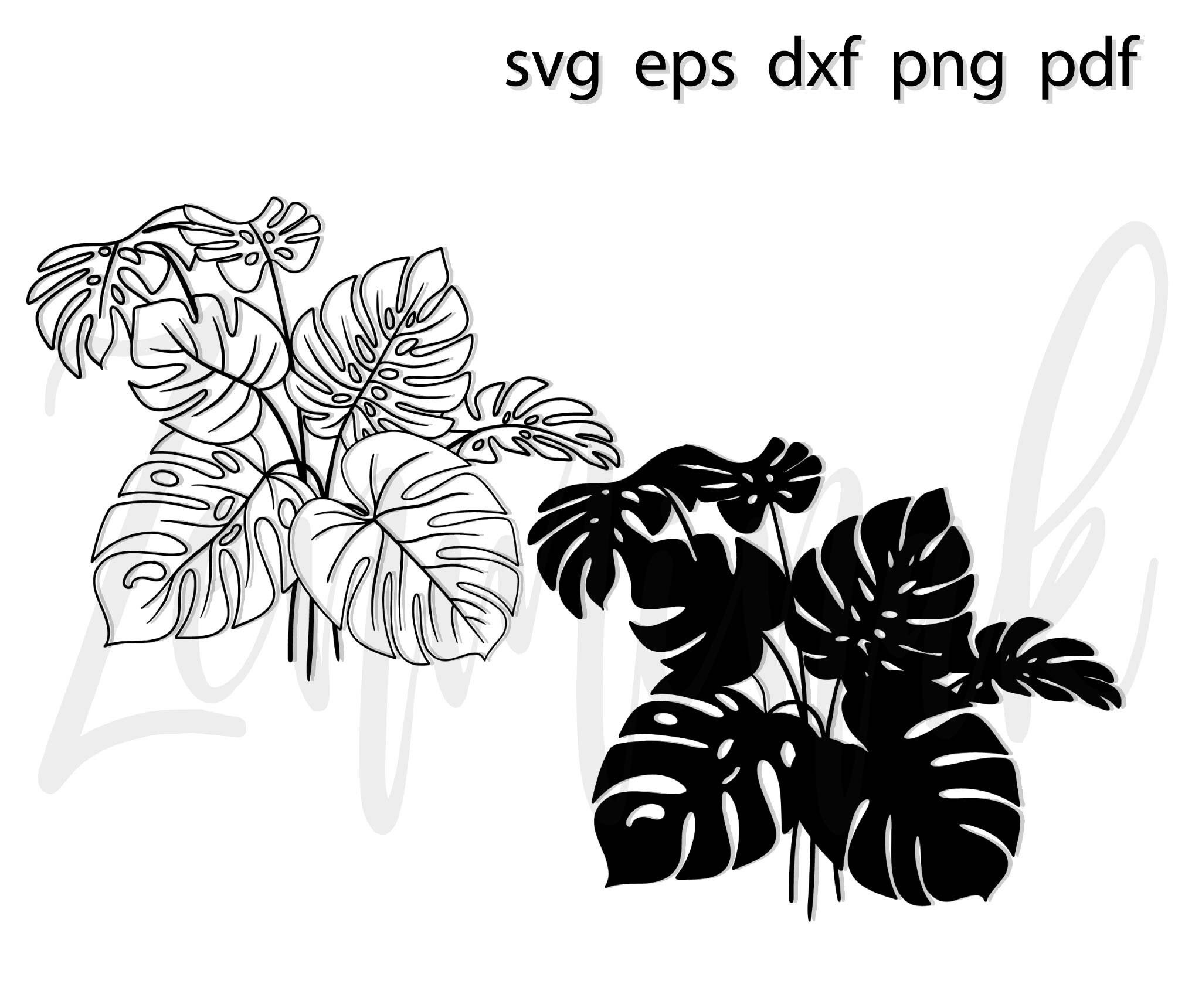 Monstera Leaf Svg Files for Cricut Monstera Svg Tropical | Etsy Canada