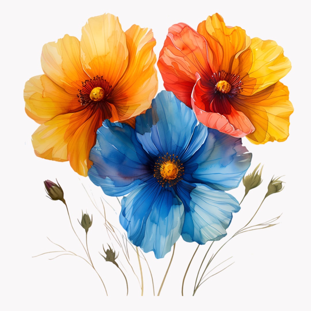 10 Watercolor Floral Clip Art PNG - Vibrant Blue, Yellow, and Orange ...
