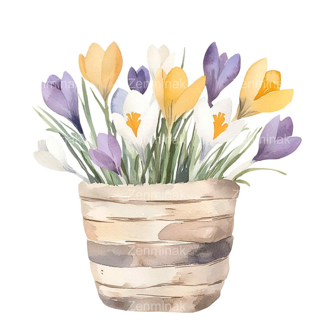 16 Spring Flower Pot PNG Clipart, Crocus Bouquet in Rustic Basket With ...