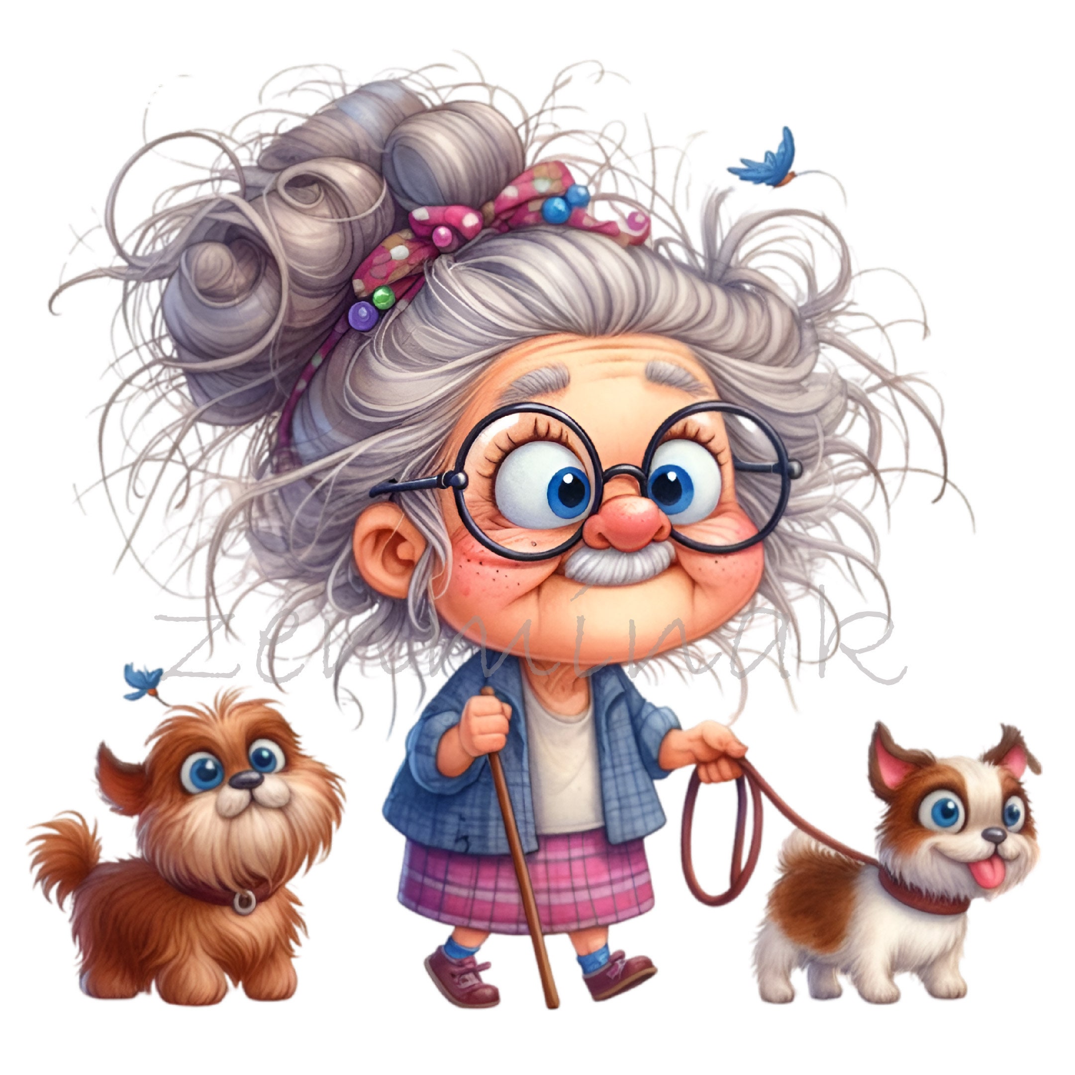 14 PNG Funny Old Lady Dog Walker Clipart, Senior Woman Illustration ...