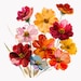 10 PNG Bright Floral Bouquet Painted Flower Clipart, Watercolor ...