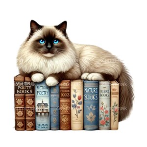10 Cat and Books Clip Art PNG, Siamese Cat on Vintage Bookshelf ...