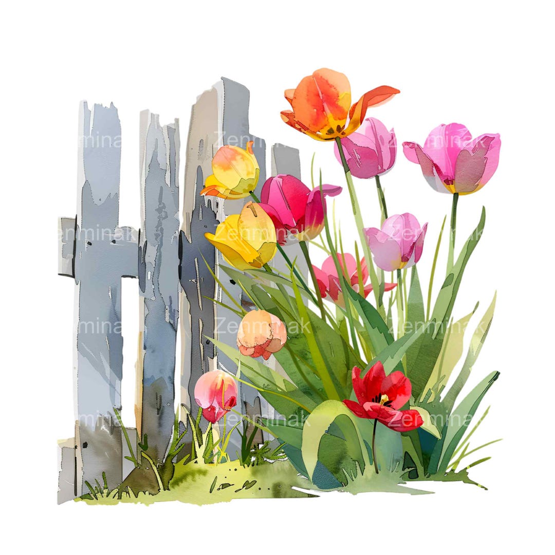 17 Garden Tulips PNG Clipart, Colorful Spring Flowers by Fence ...