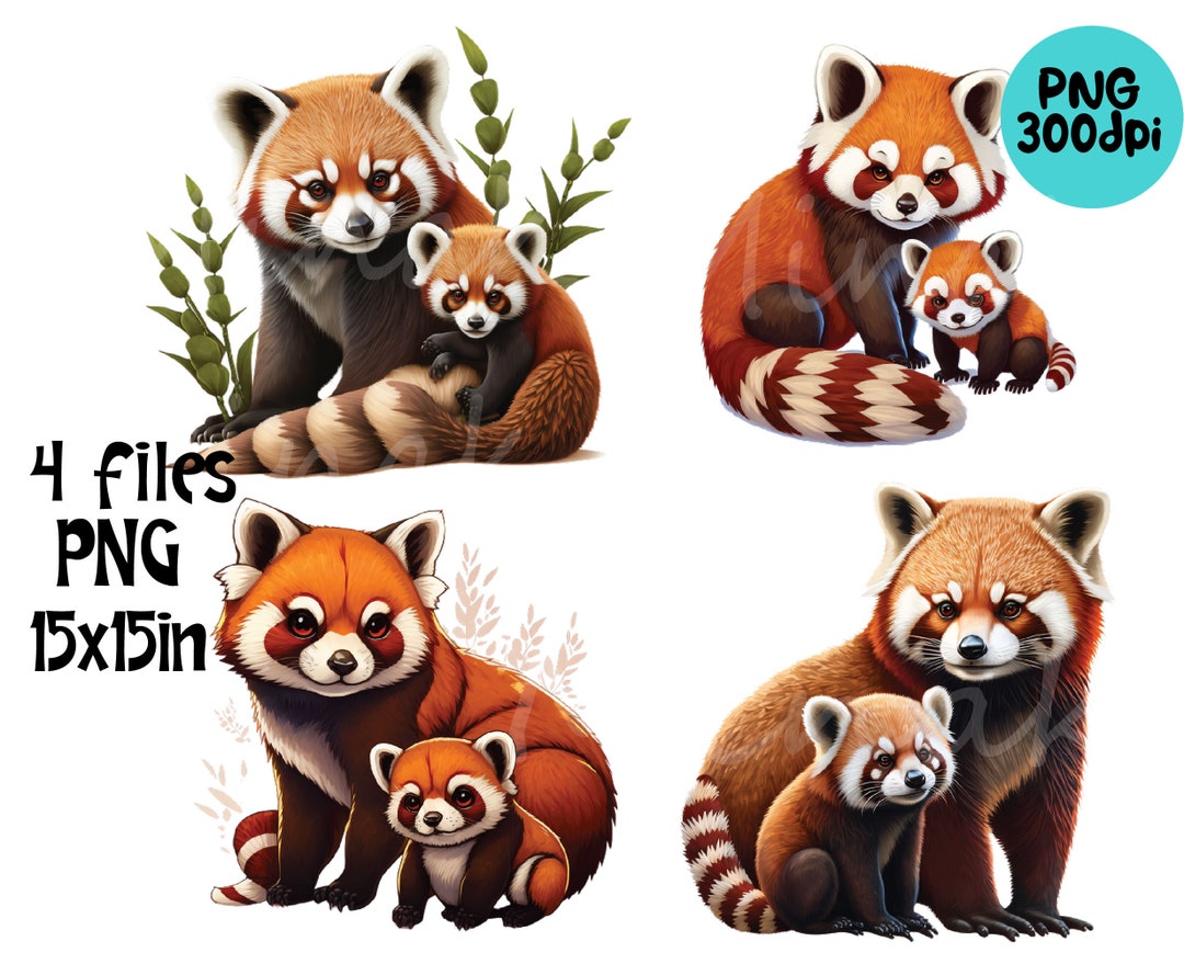 Red Panda Clipart - Etsy