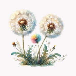Dandelion PNG, Wildflower Clipart, Meadow Clipart, Spring Clipart ...