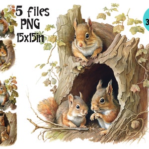 Squirrel Clipart PNG Watercolor Woodland Forest Animals - Etsy