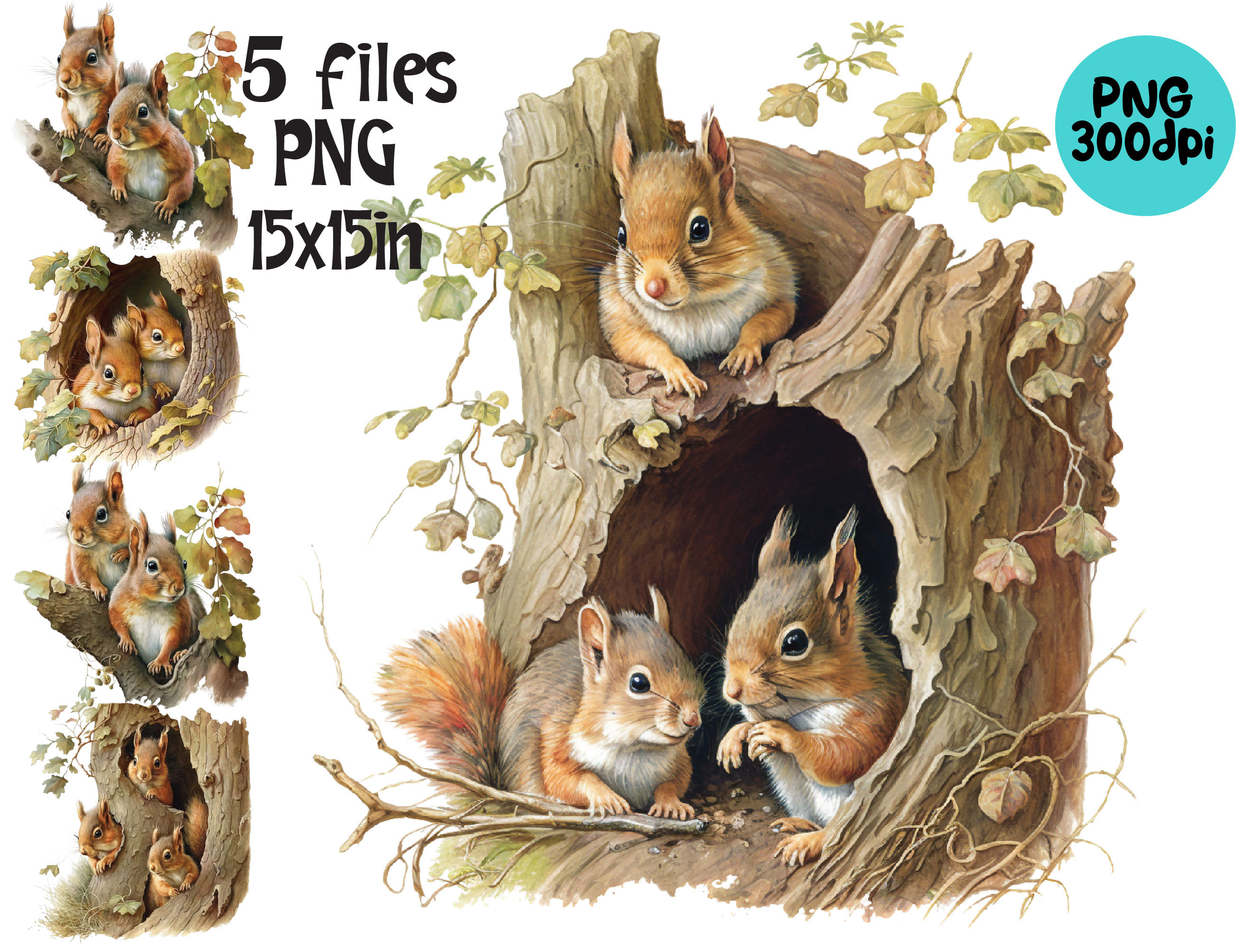 Squirrel Nest Clipart