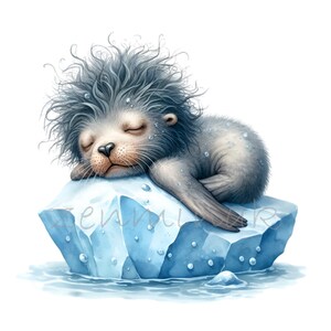 12 Cute Arctic Seal PNG Clipart Sleeping on Iceberg, Wet Flippers ...