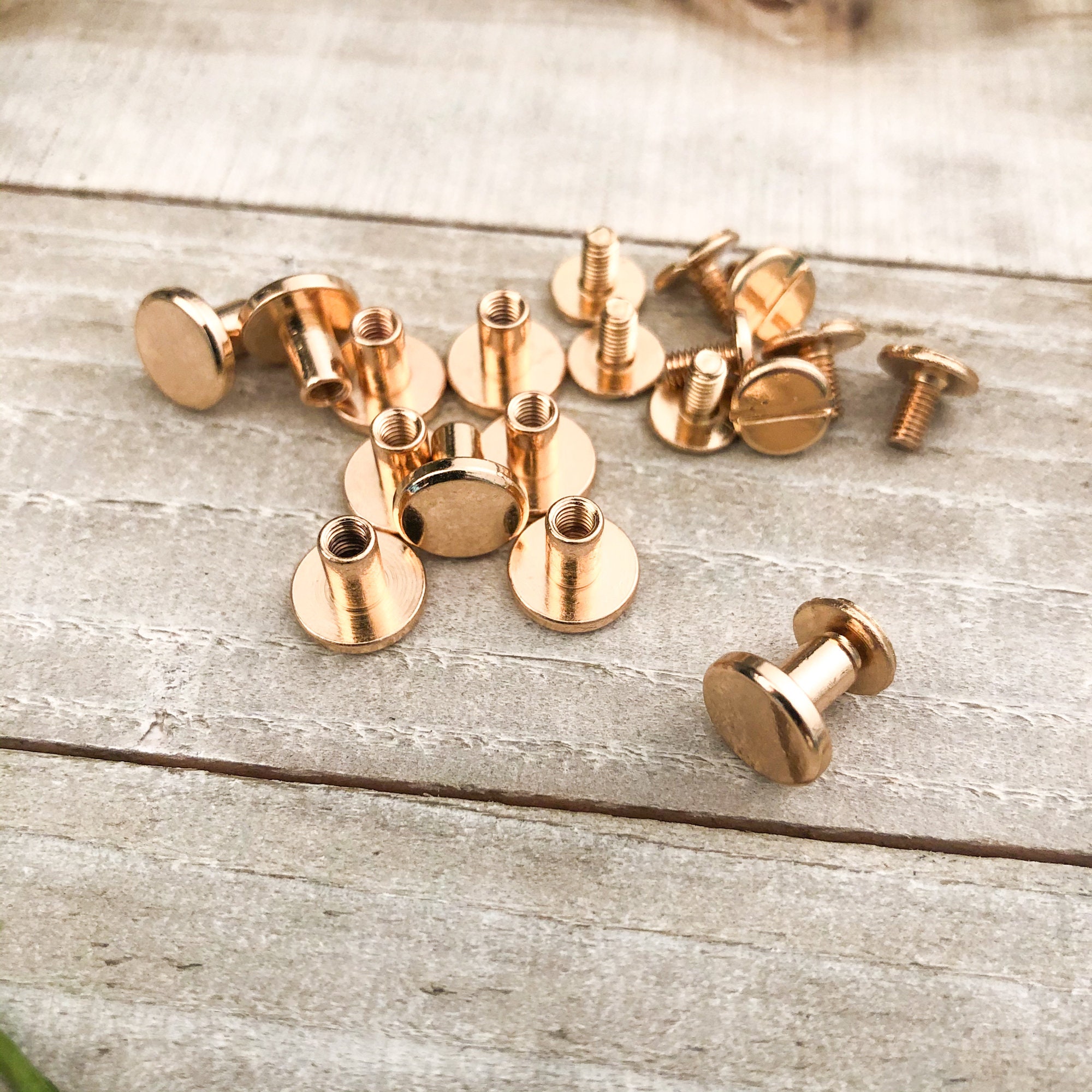 Gold Rivet Chicago Screw Pack of 10 Screws .25 Inch Post - Etsy