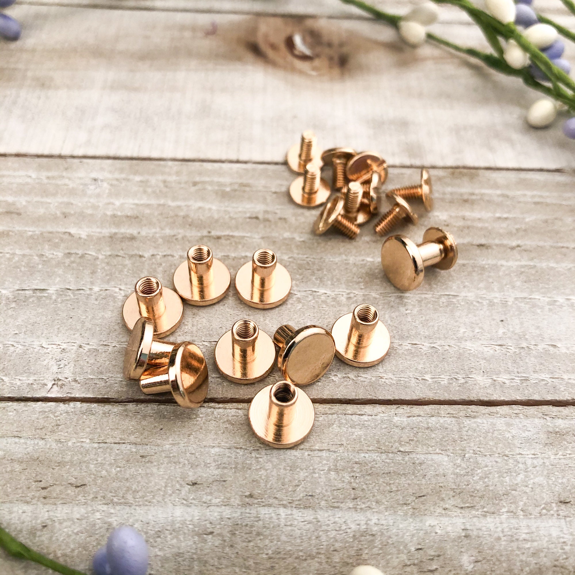 Gold Rivet Chicago Screw Pack of 10 Screws .25 Inch Post - Etsy