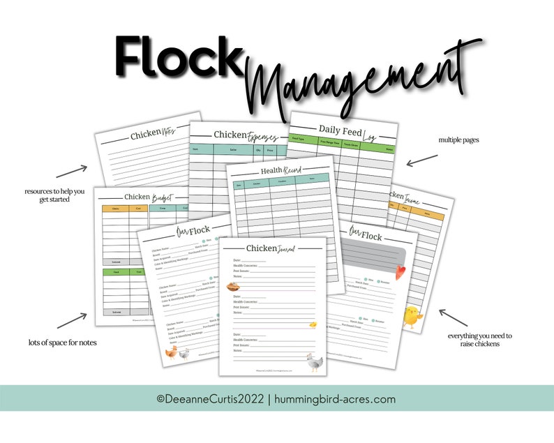 Chicken Management & Egg Tracker Binder | Homestead Management, Chicken ...