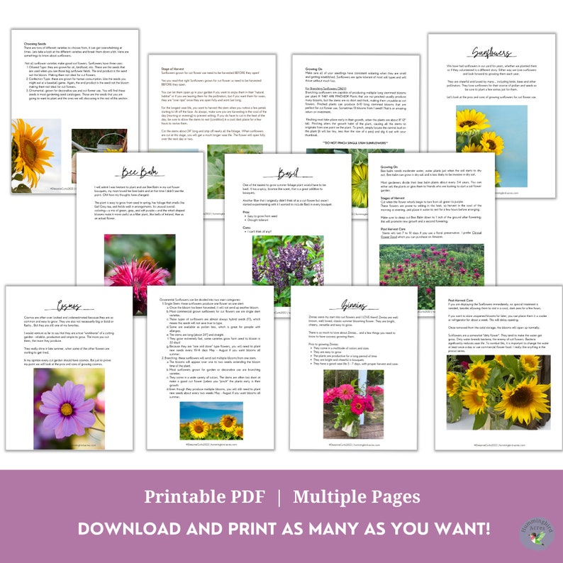 5 Must Grow Cut Flowers for Your Garden Cutting Garden Cut - Etsy