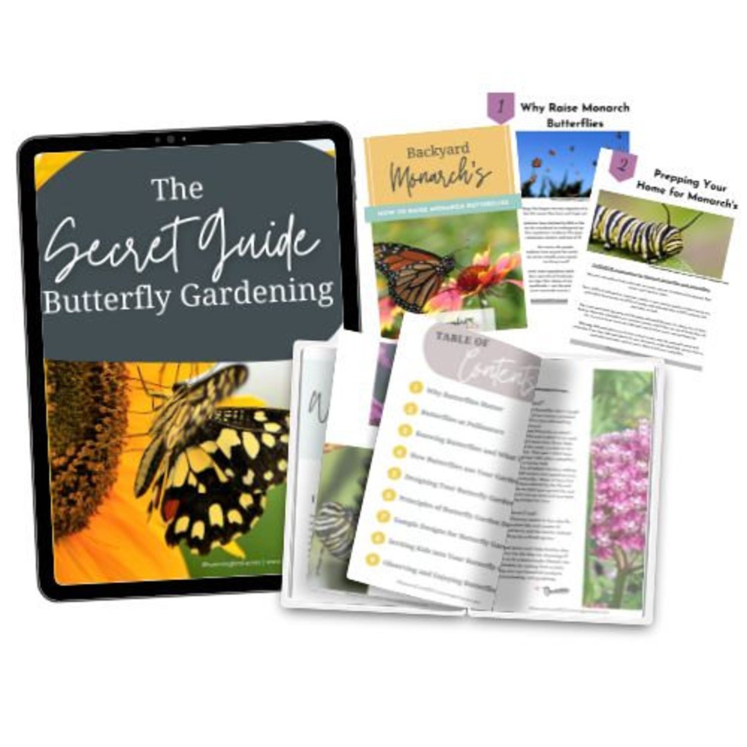 The Secret Guide to Butterfly Gardening - Etsy
