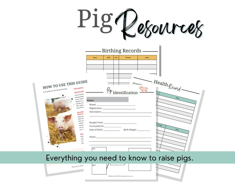 Pig Management Binder | Livestock Management, Pig Care, Homestead ...