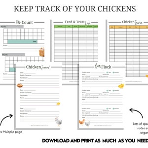 Chicken Management & Egg Tracker Binder | Homestead Management, Chicken ...
