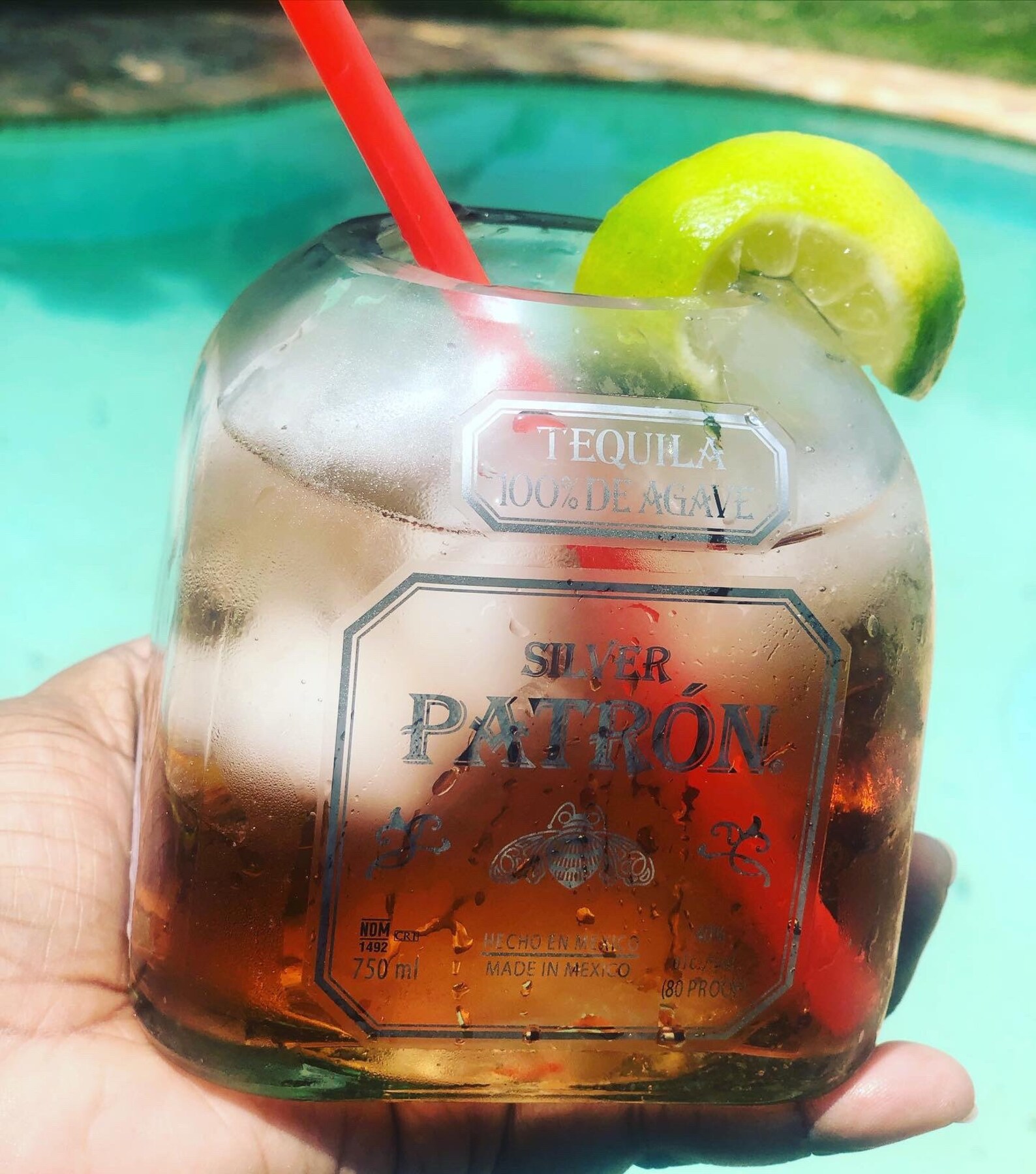 Patron Tequila Liquor Bottle Handcut Flower VASE, Patron Drinking or ...