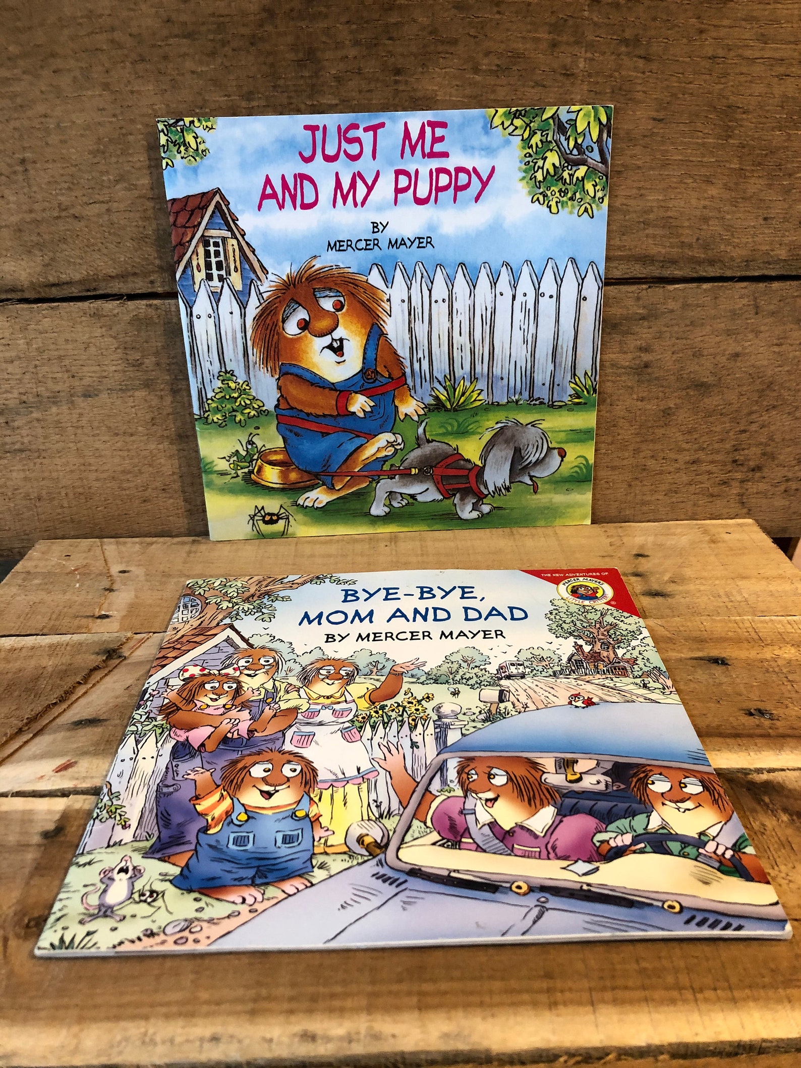 Mercer Mayer Set of Five Books: Little Critter | Etsy