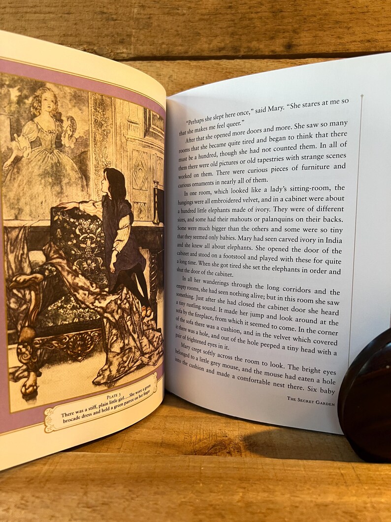 The Secret Garden by Frances Hodgson Burnett: Barnes and Noble 2012 - Etsy