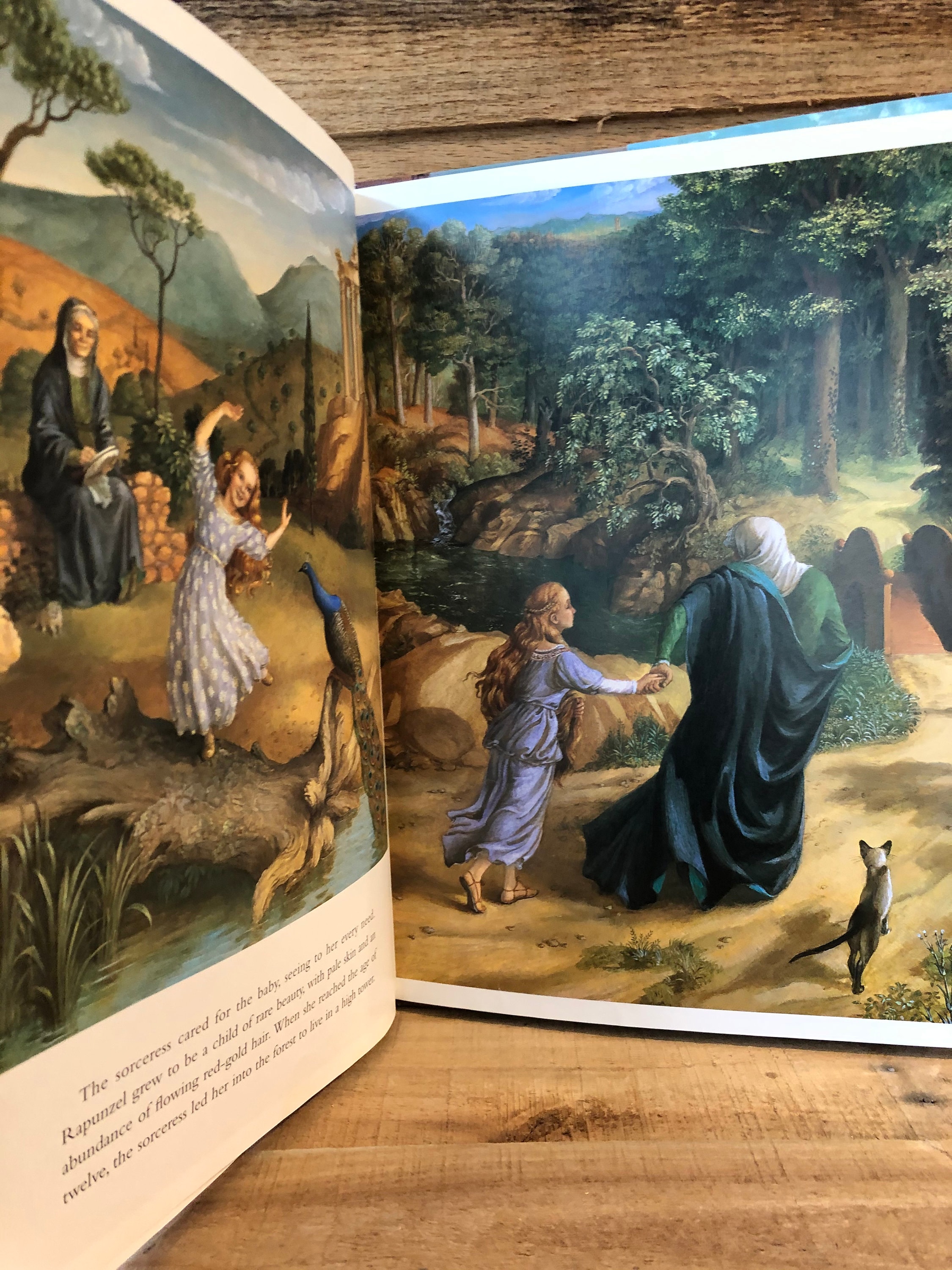 Rapunzel Illustrated by Zelinsky: With Dust Jacket 1997 First - Etsy