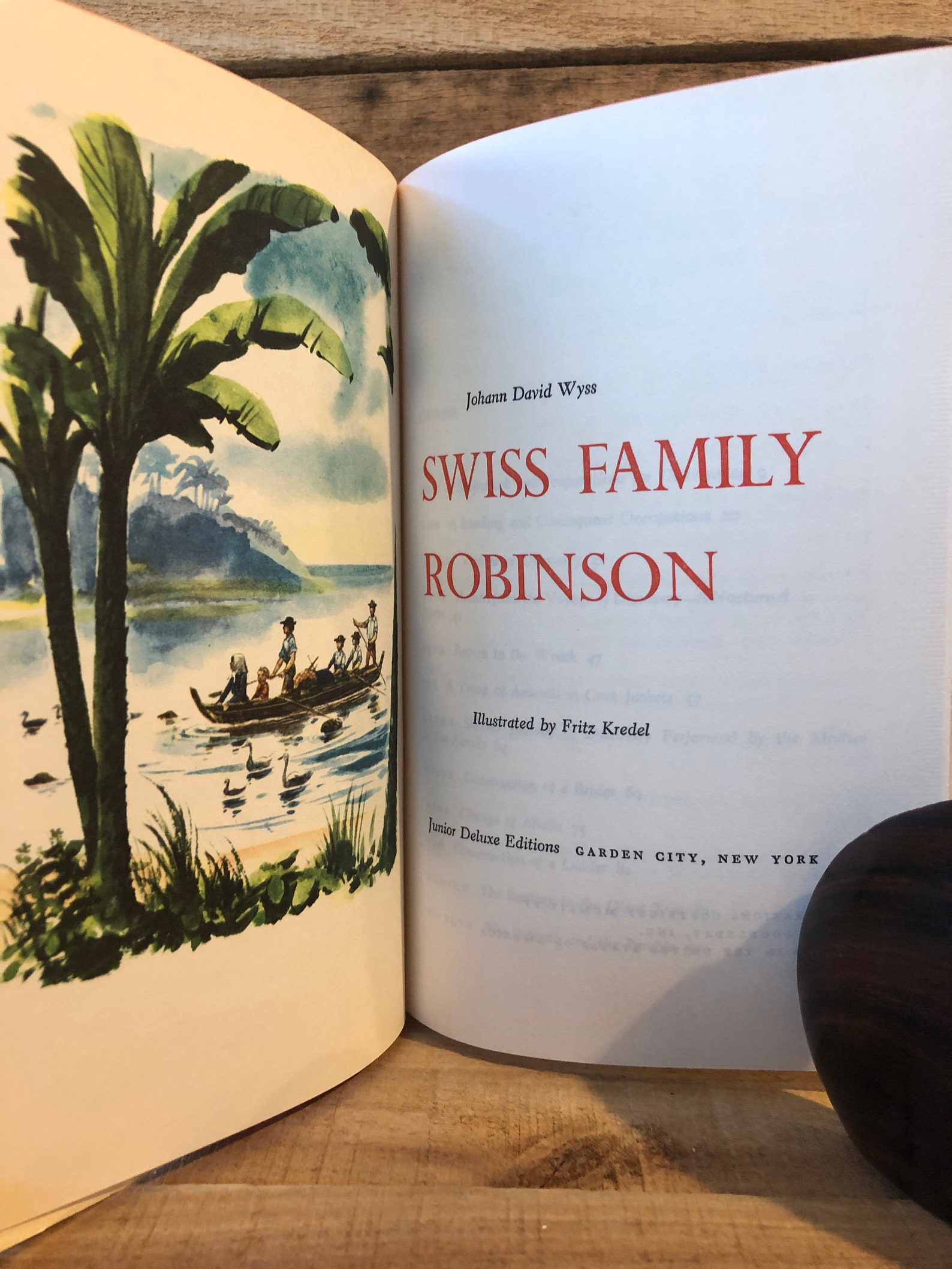 Swiss Family Robinson by Johann David Wyss: Junior Deluxe | Etsy