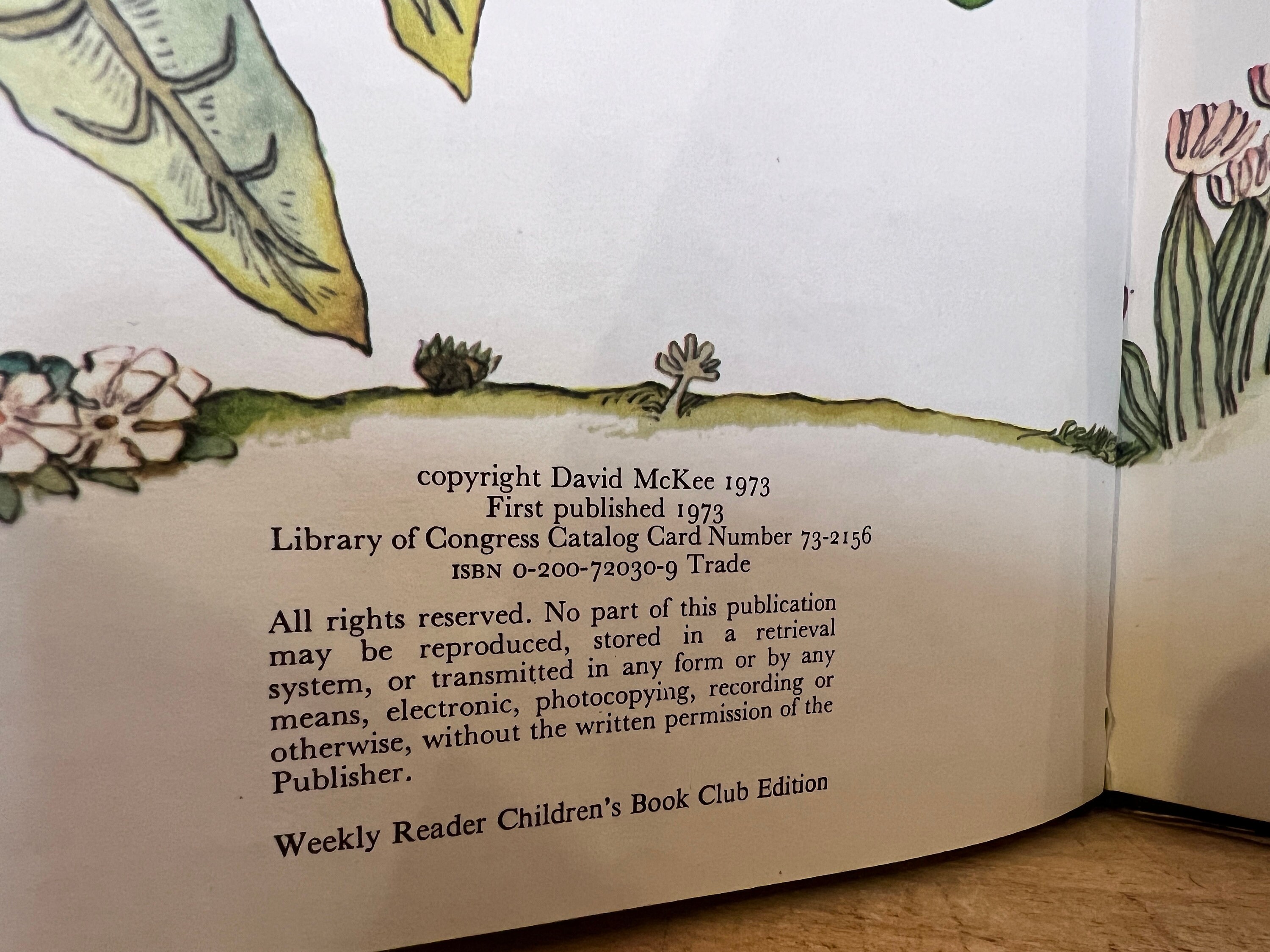 Lord Rex, the Lion Who Wished by David Mckee: Weekly Reader 1973 - Etsy