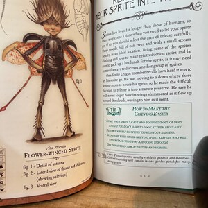 Care and Feeding of Sprites, the Spiderwick Chronicles by Diterlizzi ...