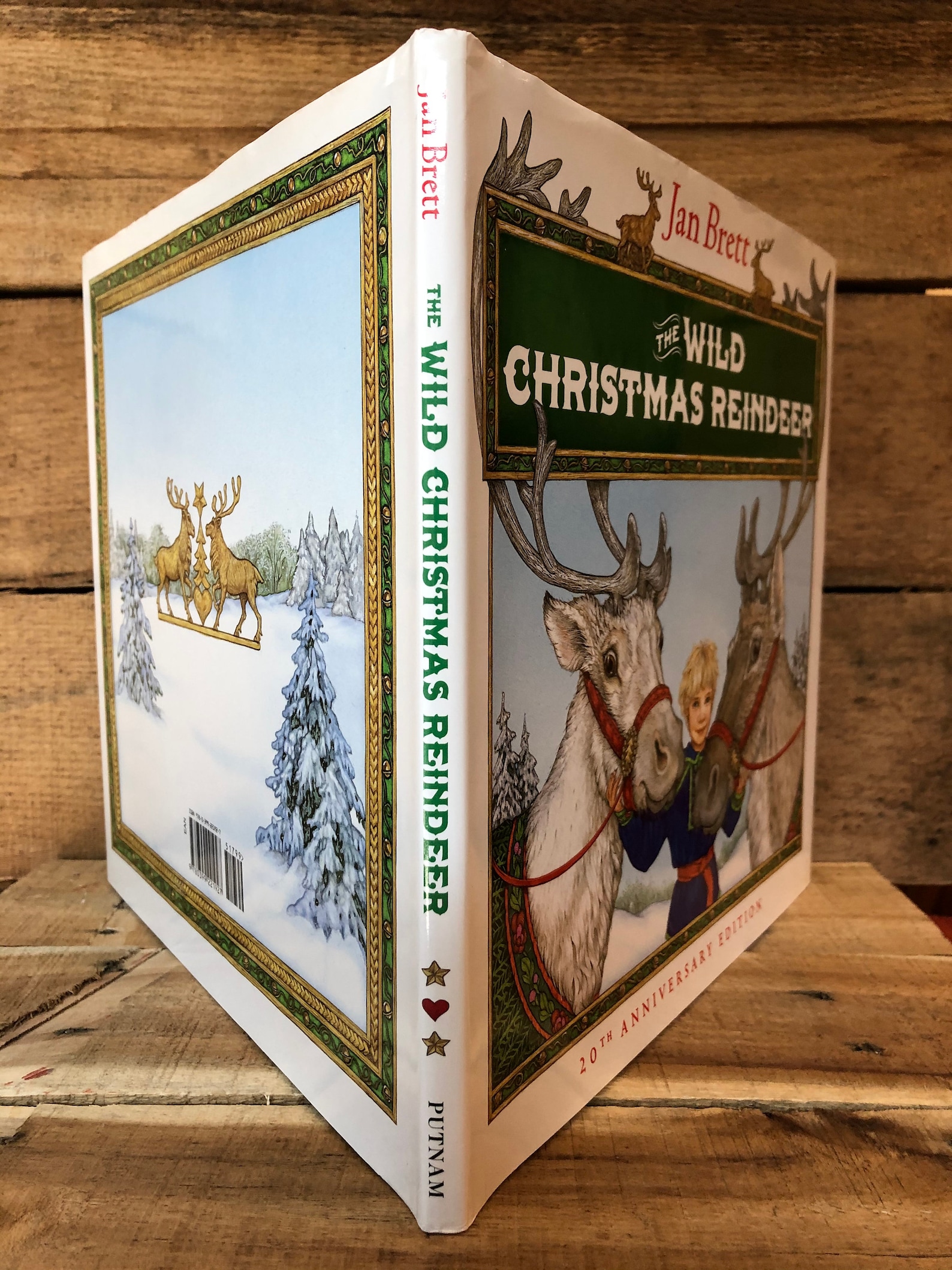 Jan Brett The Wild Christmas Reindeer: with Dust Jacket 2010 | Etsy