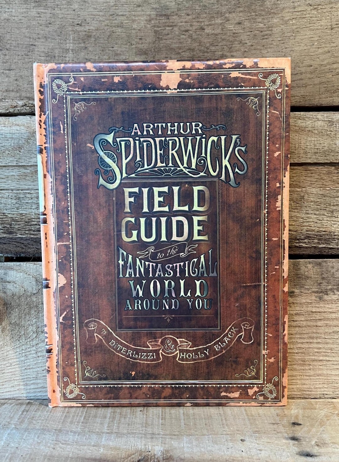 Arthur Spiderwick's Field Guide to the Fantastical World Around You ...