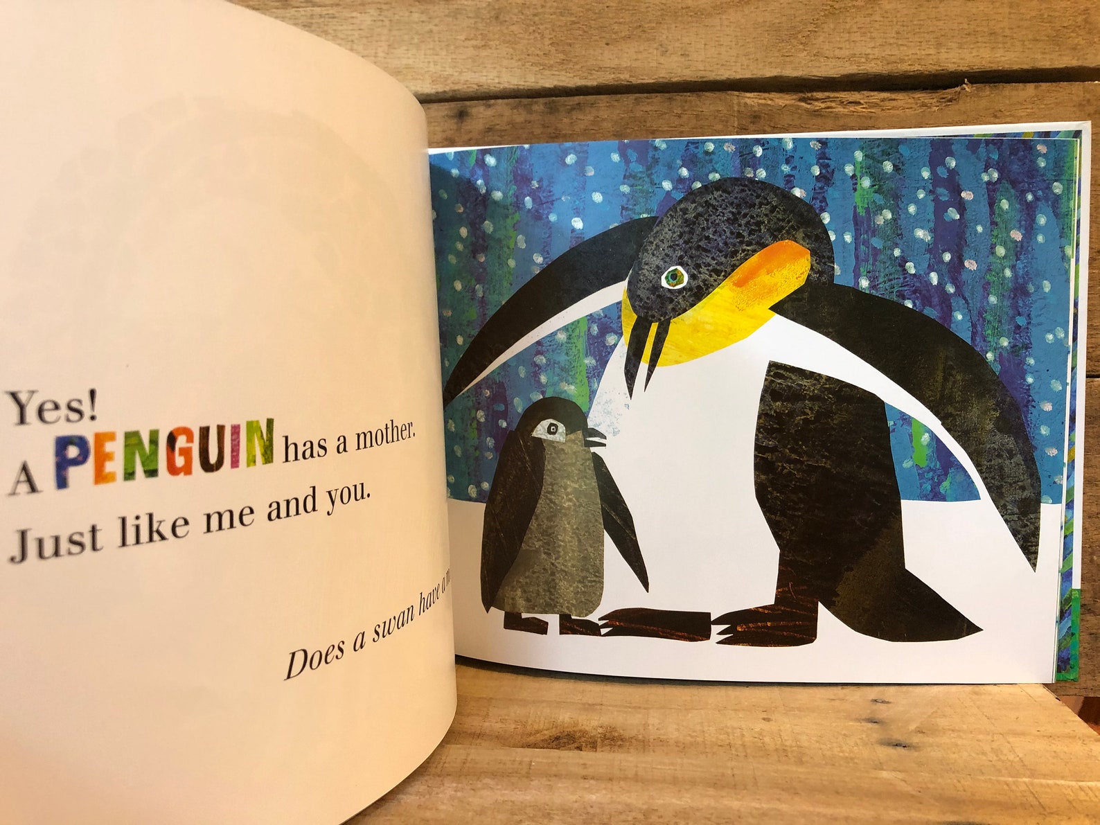 Does a Kangaroo Have a Mother Too by Eric Carle: - Etsy