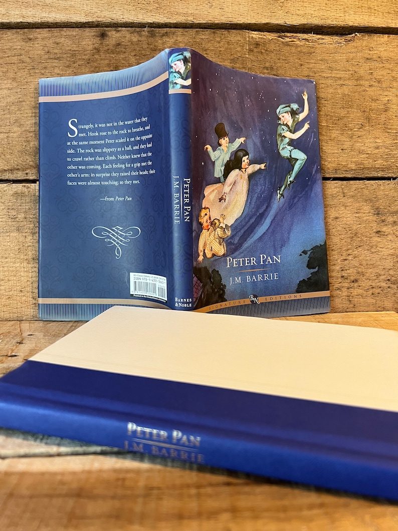 Peter Pan by J. M. Barrie Illustrated by F. D. Bedford: With - Etsy