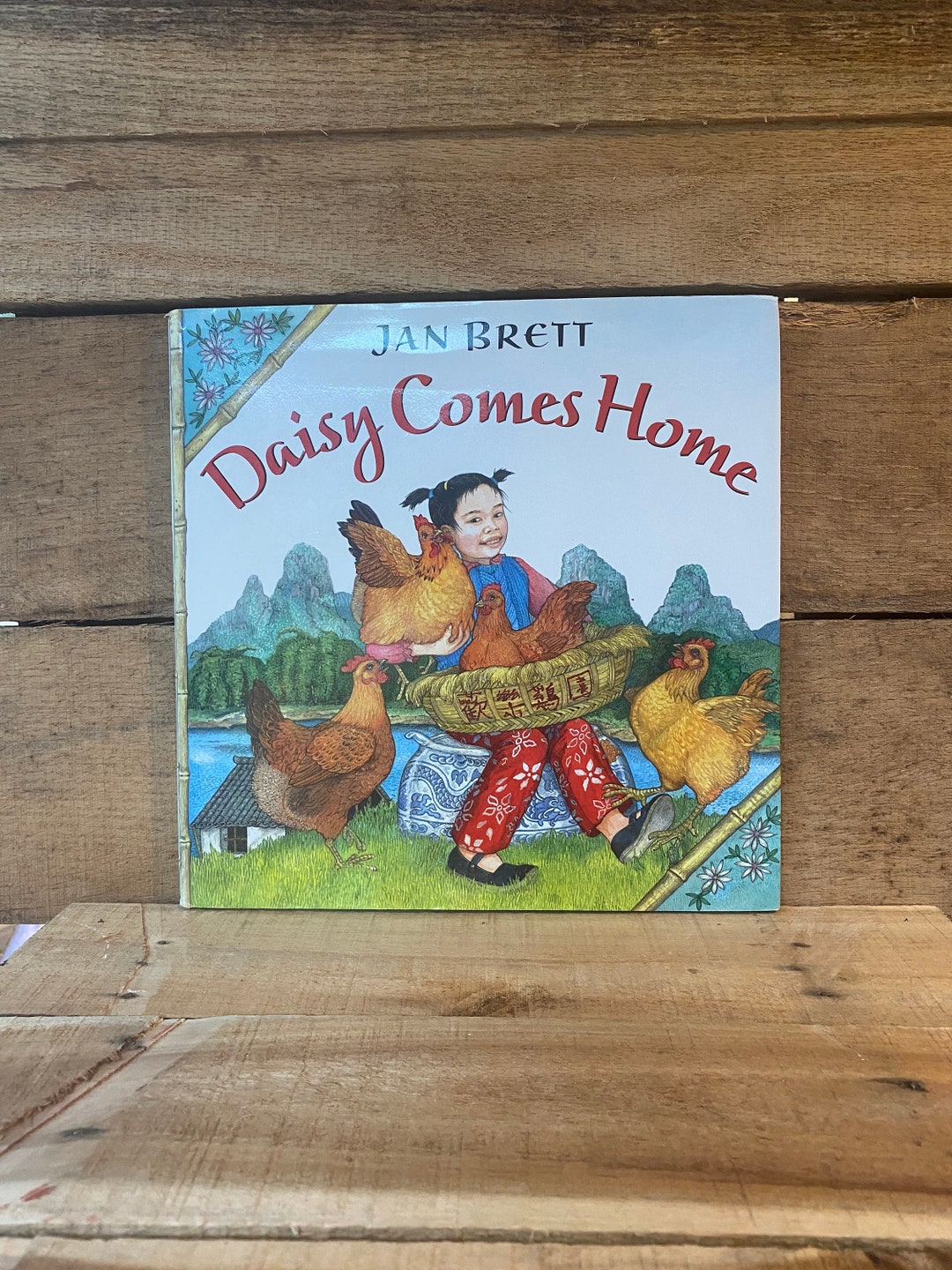 Daisy Comes Home de Jan Brett: avec Dust Jacket 2002 First - Etsy France