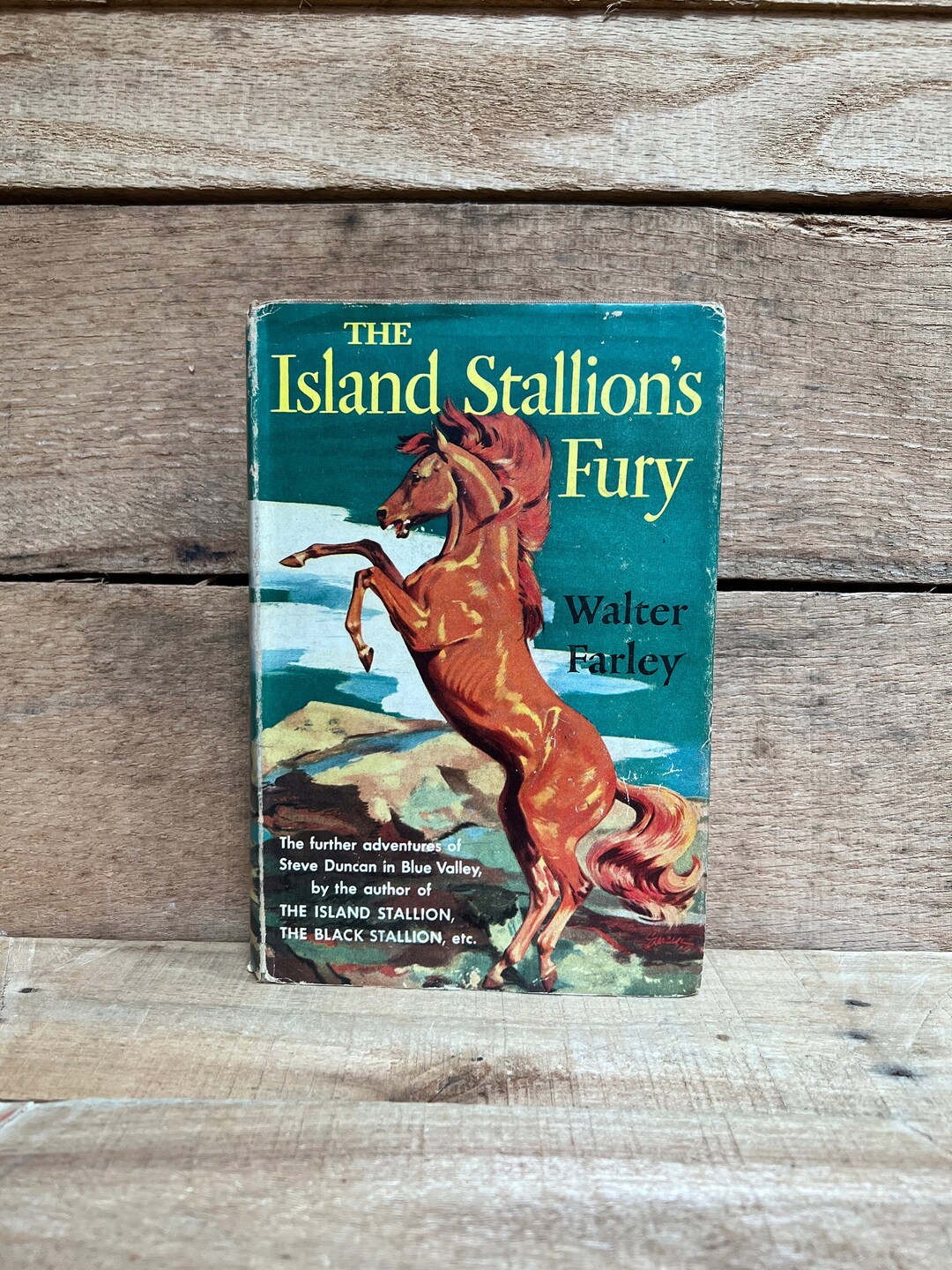 The Island Stallion's Fury by Walter Farley: With Dust Jacket 1951 - Etsy