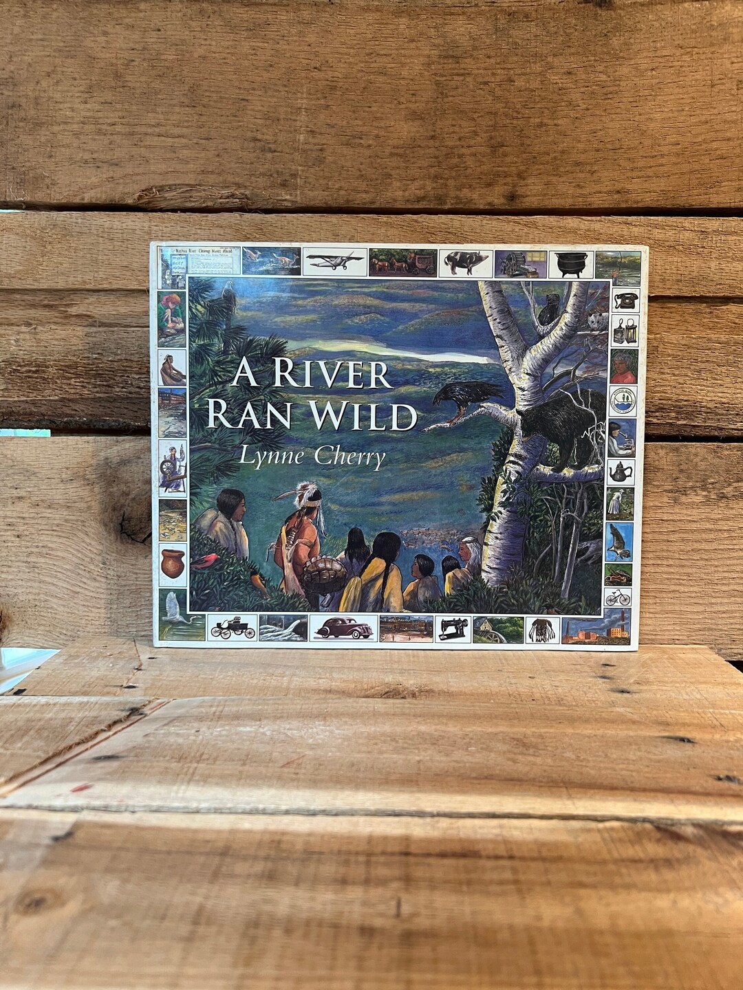A River Ran Wild by Lynne Cherry: With Dust Jacket, 1992 - Etsy