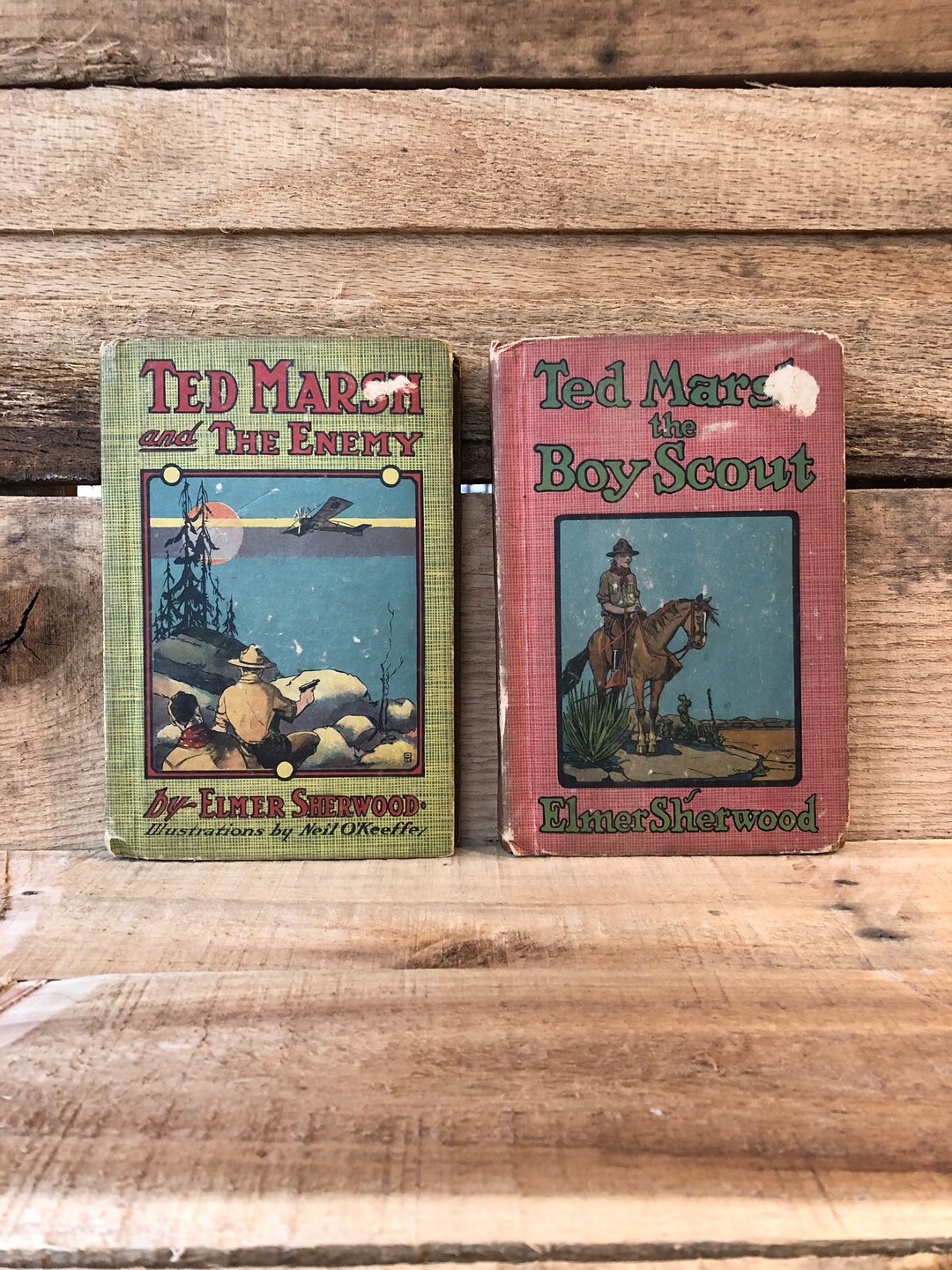 Pair of Ted Marsh Books: Ted Marsh and the Enemy and Ted Marsh and the ...