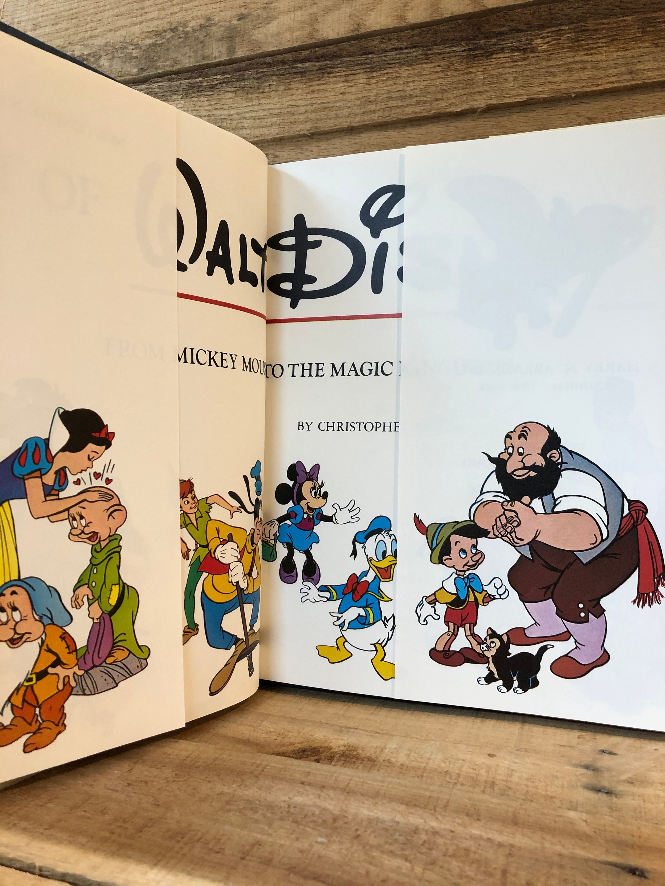 The Art of Walt Disney From Mickey Mouse to the Magic Kingdom: With ...
