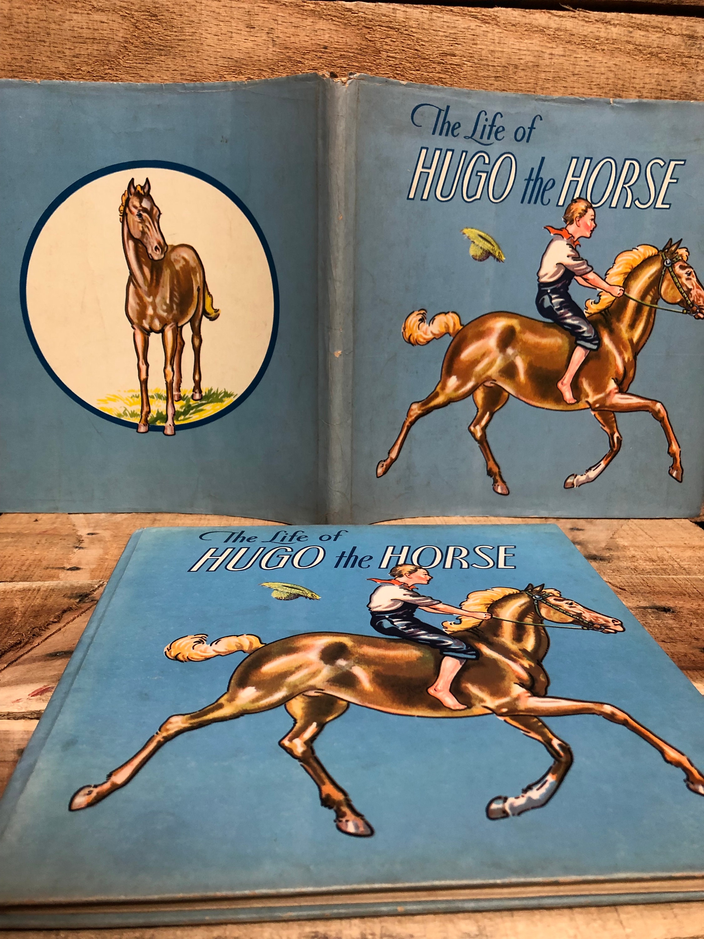 The Life of Hugo the Horse by Anna Marie Wright: With Dust - Etsy