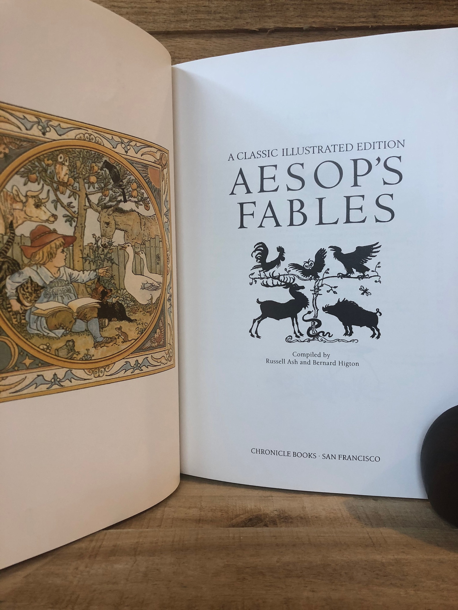 Aesop's Fables A Classic Illustrated Edition: With Dust - Etsy