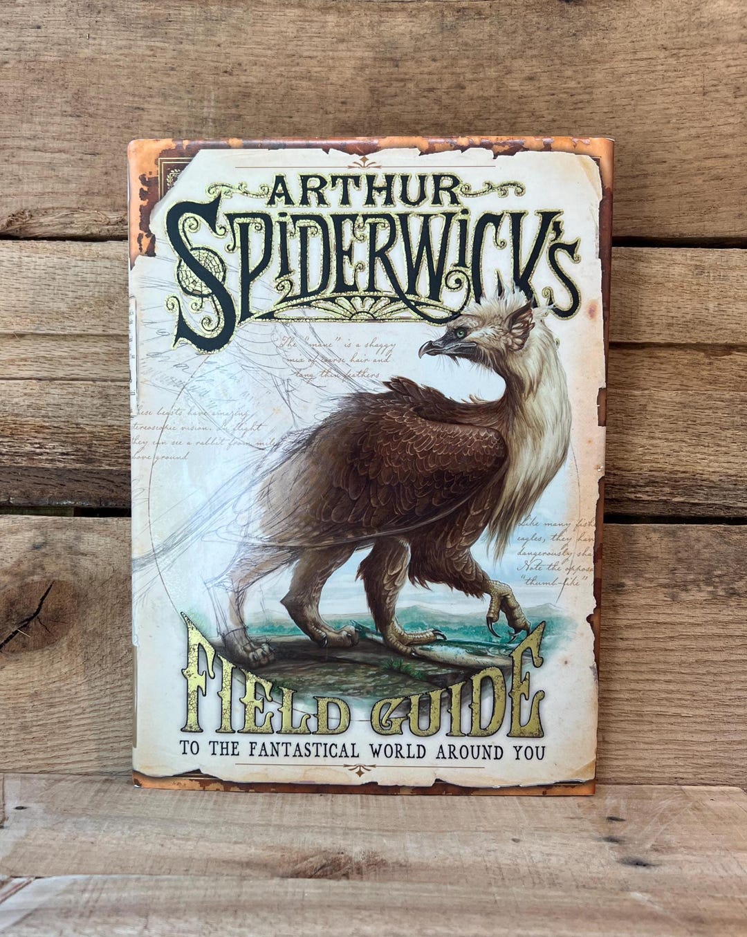 Arthur Spiderwick's Field Guide to the Fantastical World Around You ...