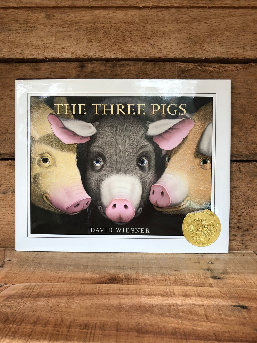 The Three Pigs by David Wiesner: With Dust Jacket 2001 - Etsy