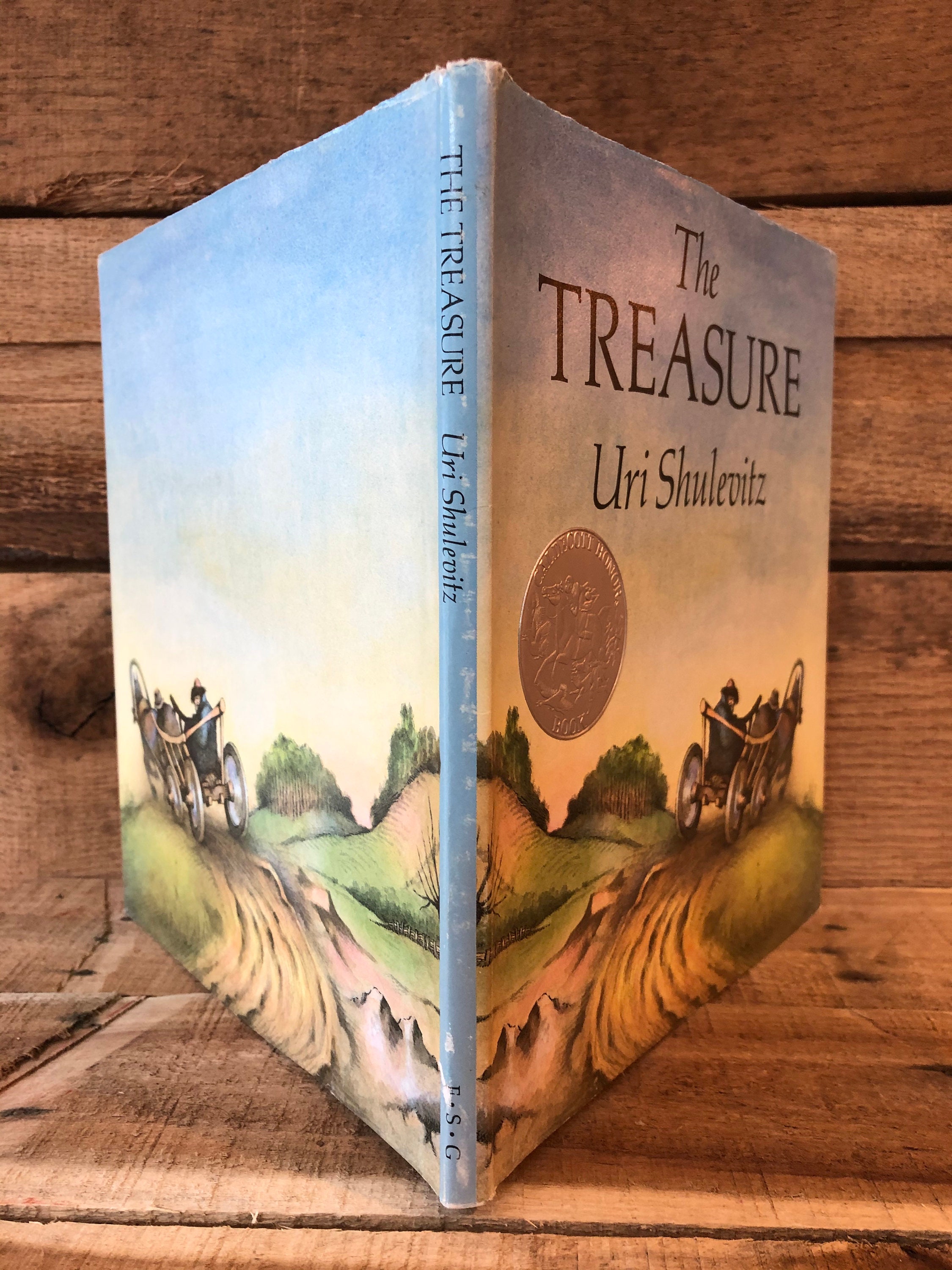 The Treasure by Uri Shulevitz: With Dust Jacket Fifth Printing 1992 - Etsy