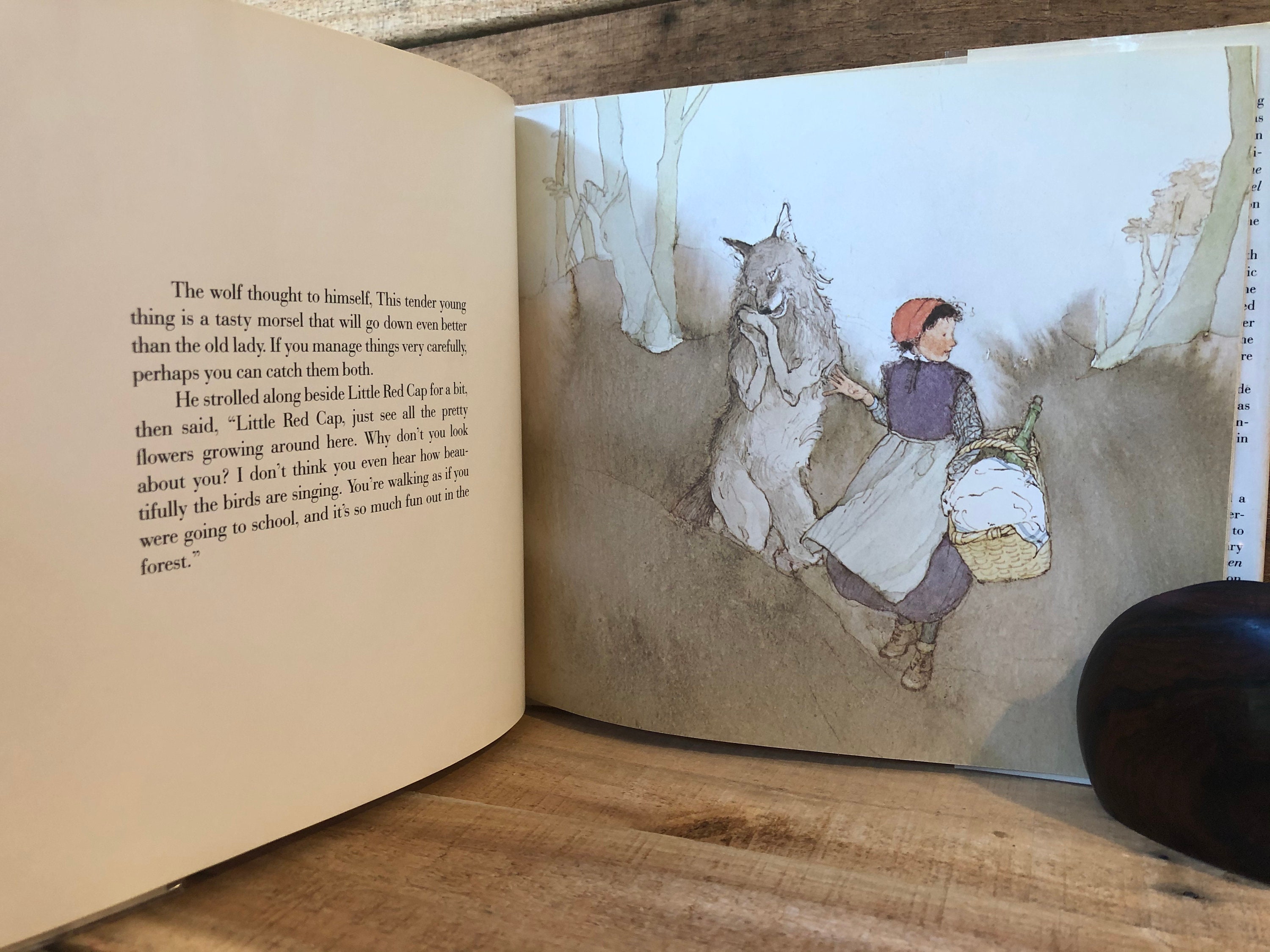 Little Red Cap Illustrated by Lisbeth Zwerger: With Dust - Etsy