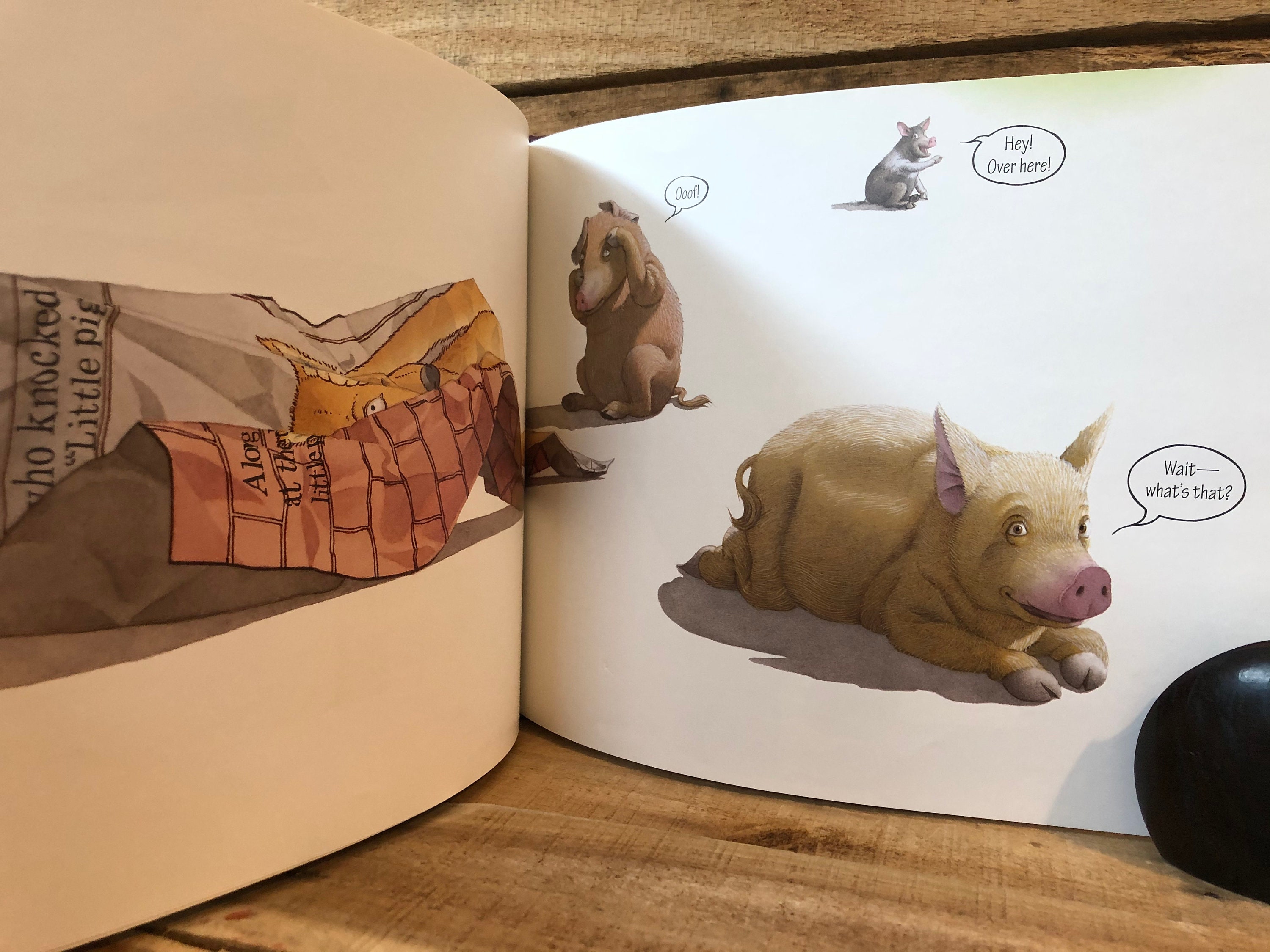 The Three Pigs by David Wiesner: With Dust Jacket 2001 - Etsy