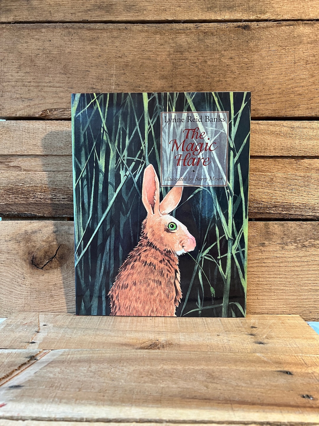 The Magic Hare by Lynne Reid Banks, Illustrated by Barry Moser: With ...