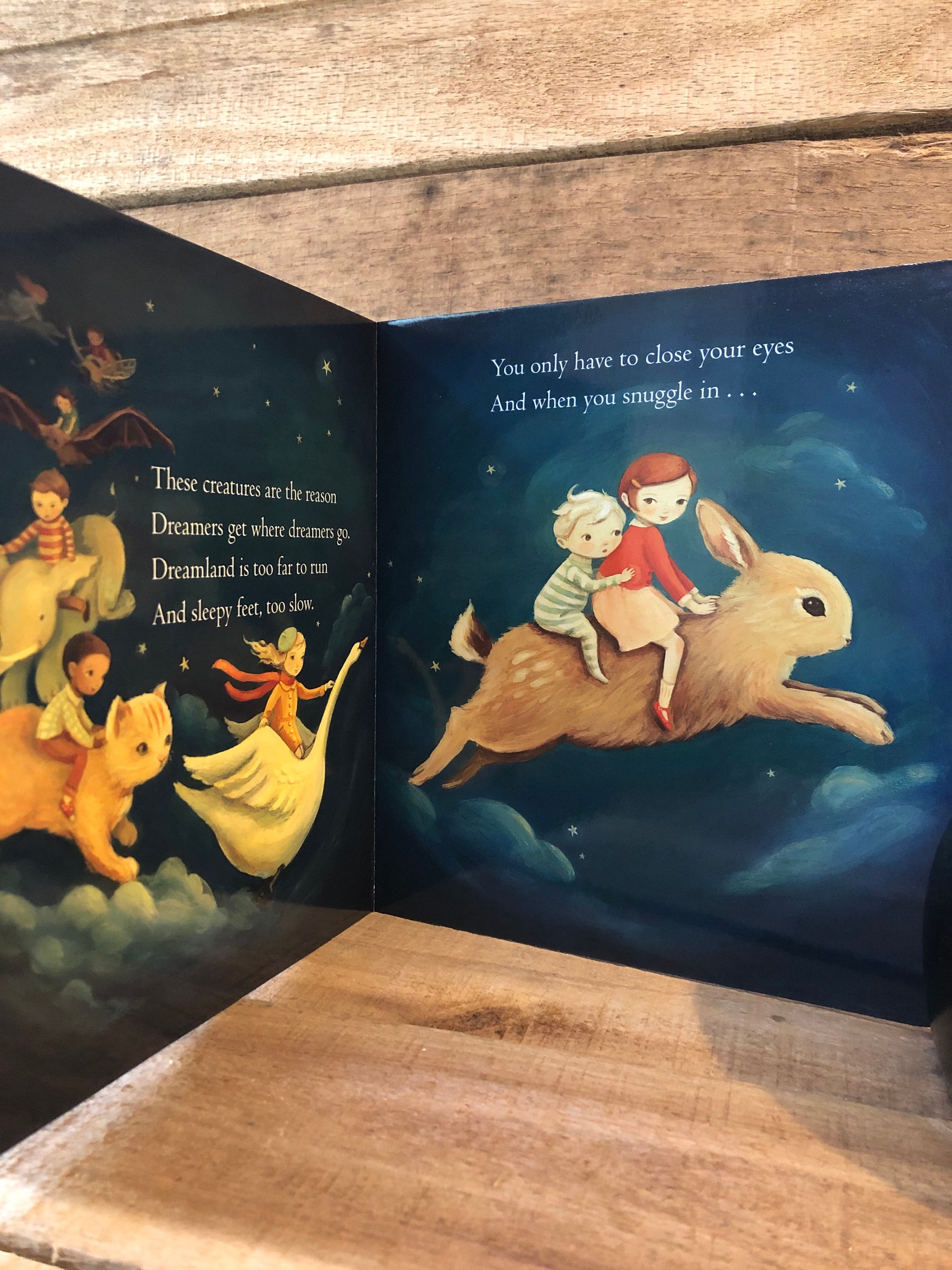 Dream Animals by Emily Winfield Martin: Board Book 2013 | Etsy